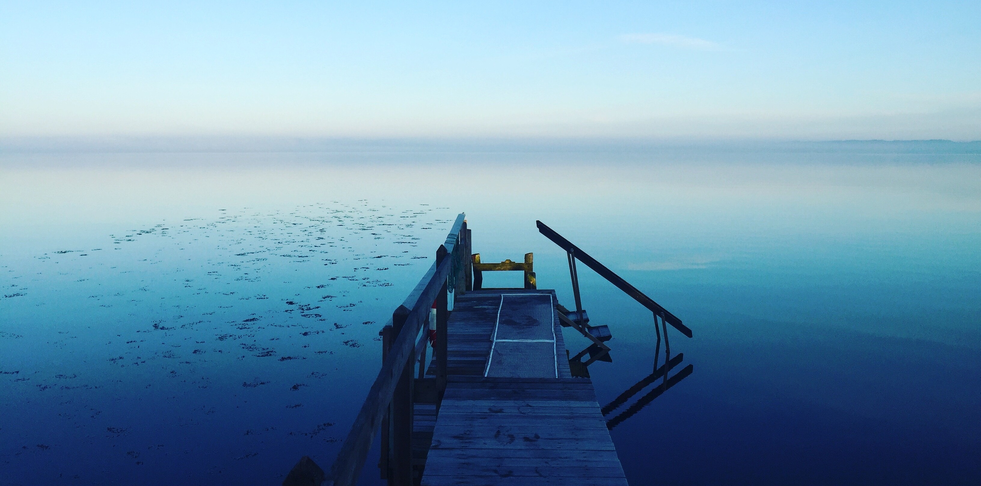 What is DivEd? - DIVED